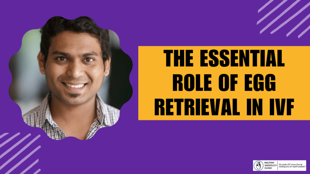 What You Should Know About IVF Egg Retrieval for Successful IVF ...